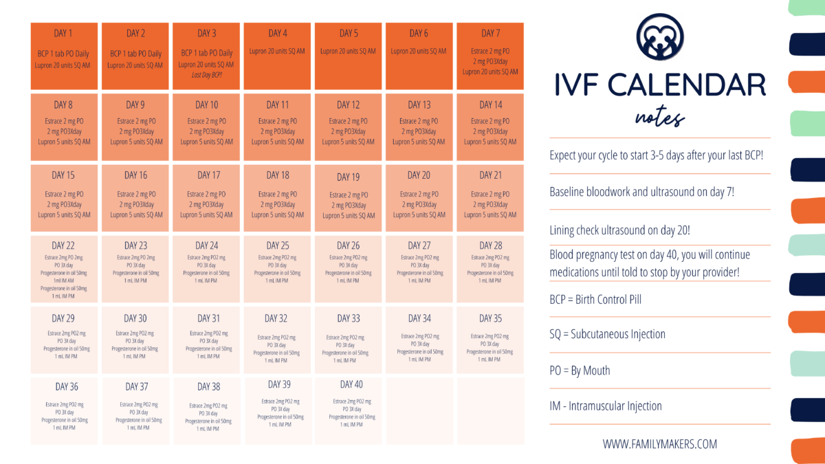 Surrogacy Timeline | Family Makers Surrogacy